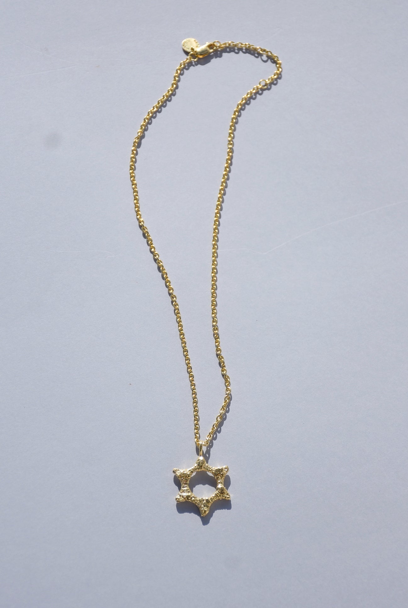 GOLD SEAL OF SOLOMON NECKLACE – NEON JOYRIDE